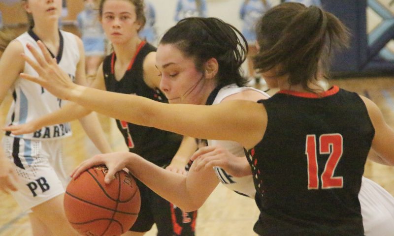 Lady Colts pull away from Elkins | News, Sports, Jobs - The Intermountain